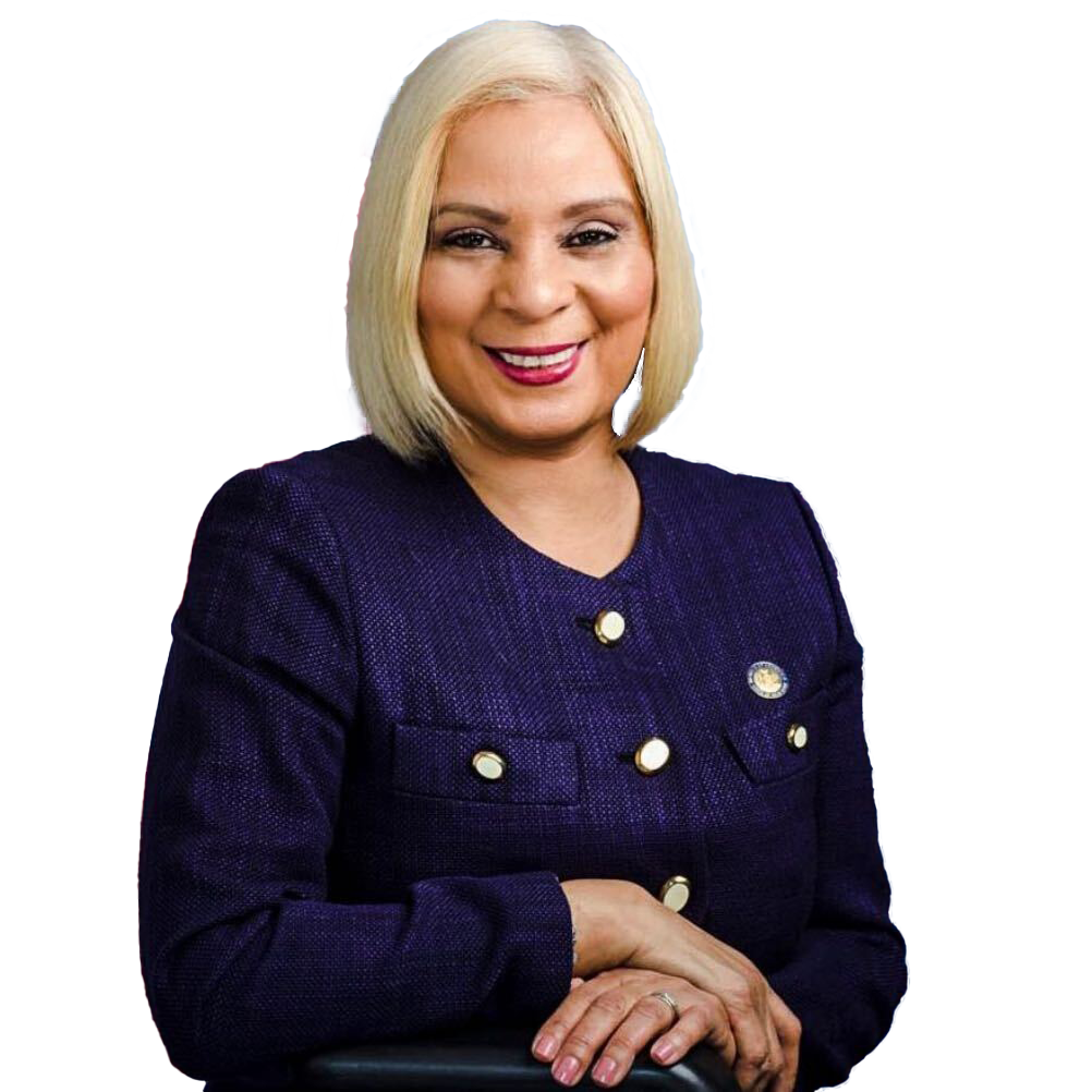 Sandy Nurse for New York City Council